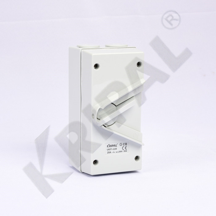 20A IP66 Single-phase Industrial Isolator Switch Outdoor Dustproof